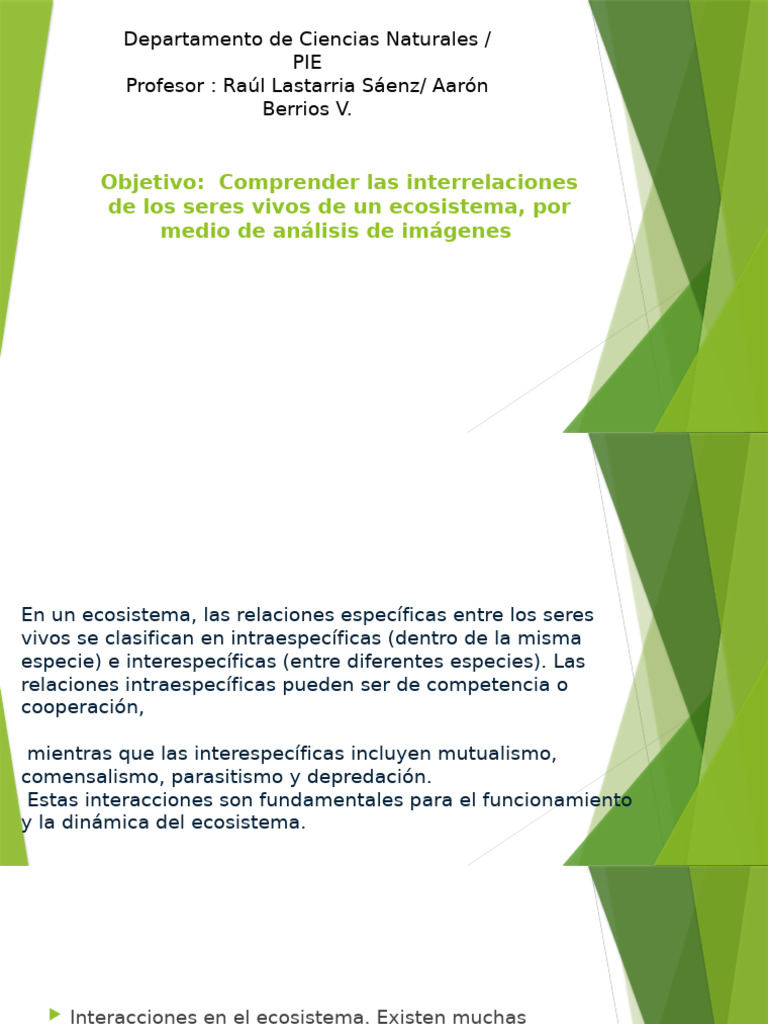 Interacciones en Ecosistemas: Tipos y Ejemplos | PDF | Depredación | Aves