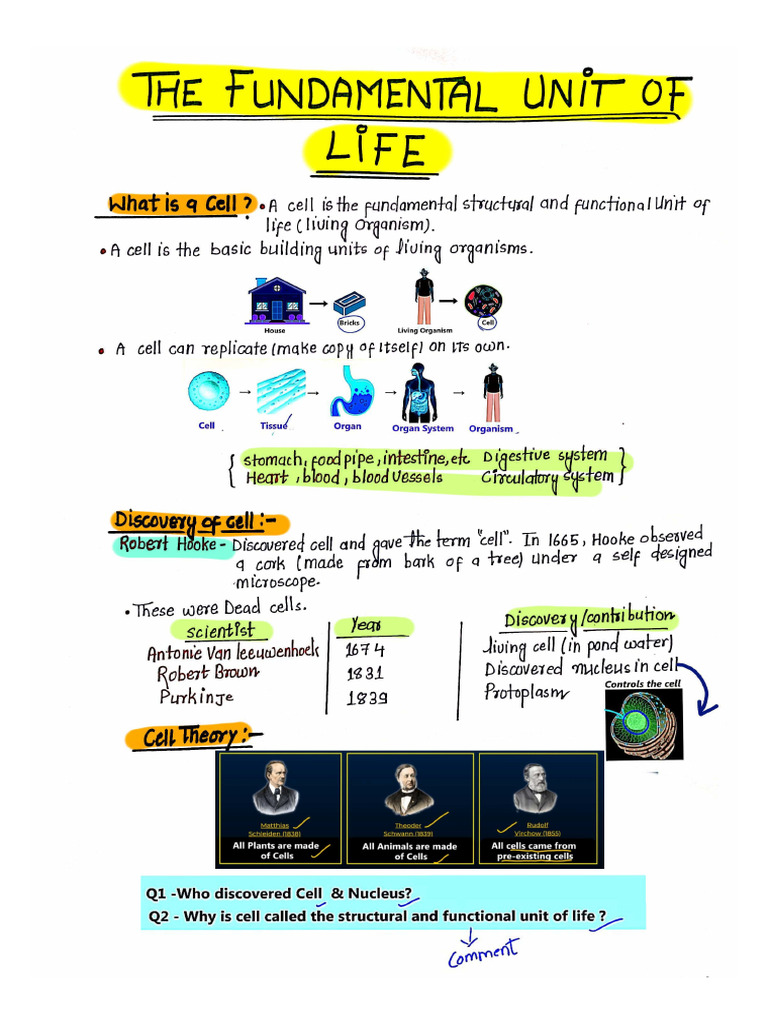 The Fundamental Unit of Life Handwritten Notes | PDF