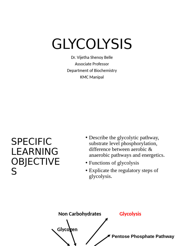 Glycolysis Mbbs 2024 | PDF | Glycolysis | Cellular Respiration