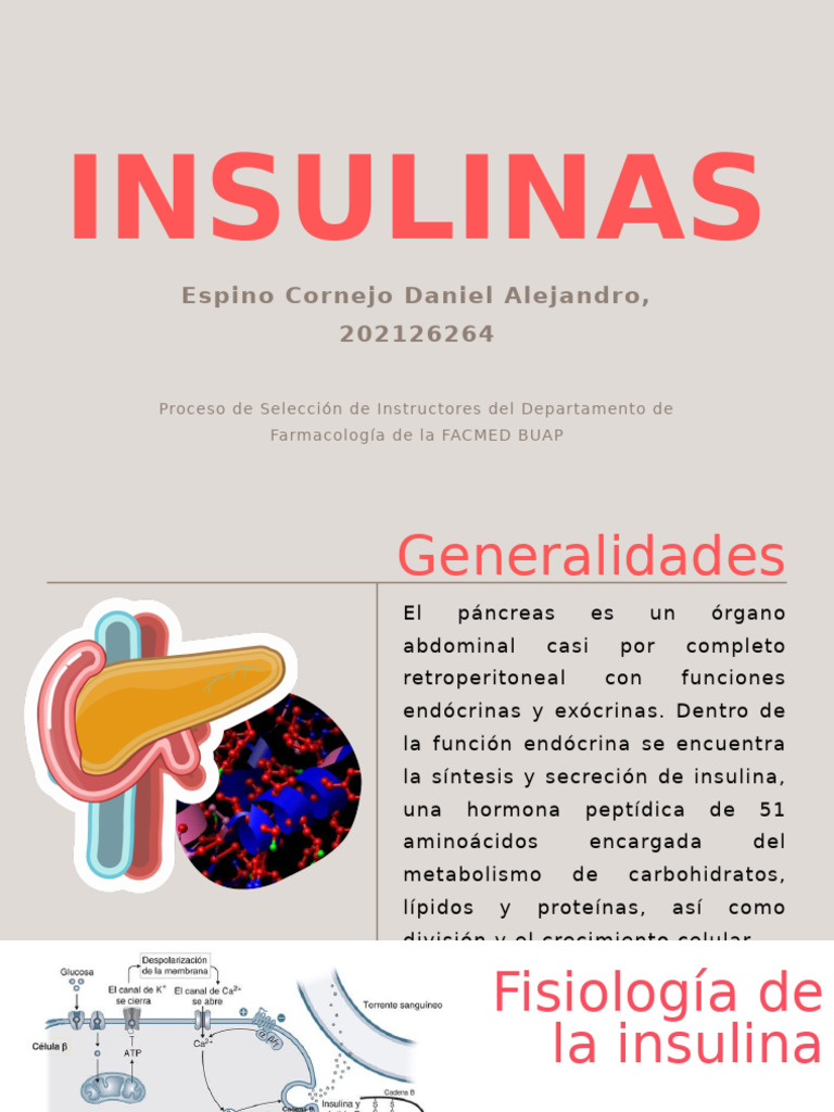 Insulinas | PDF
