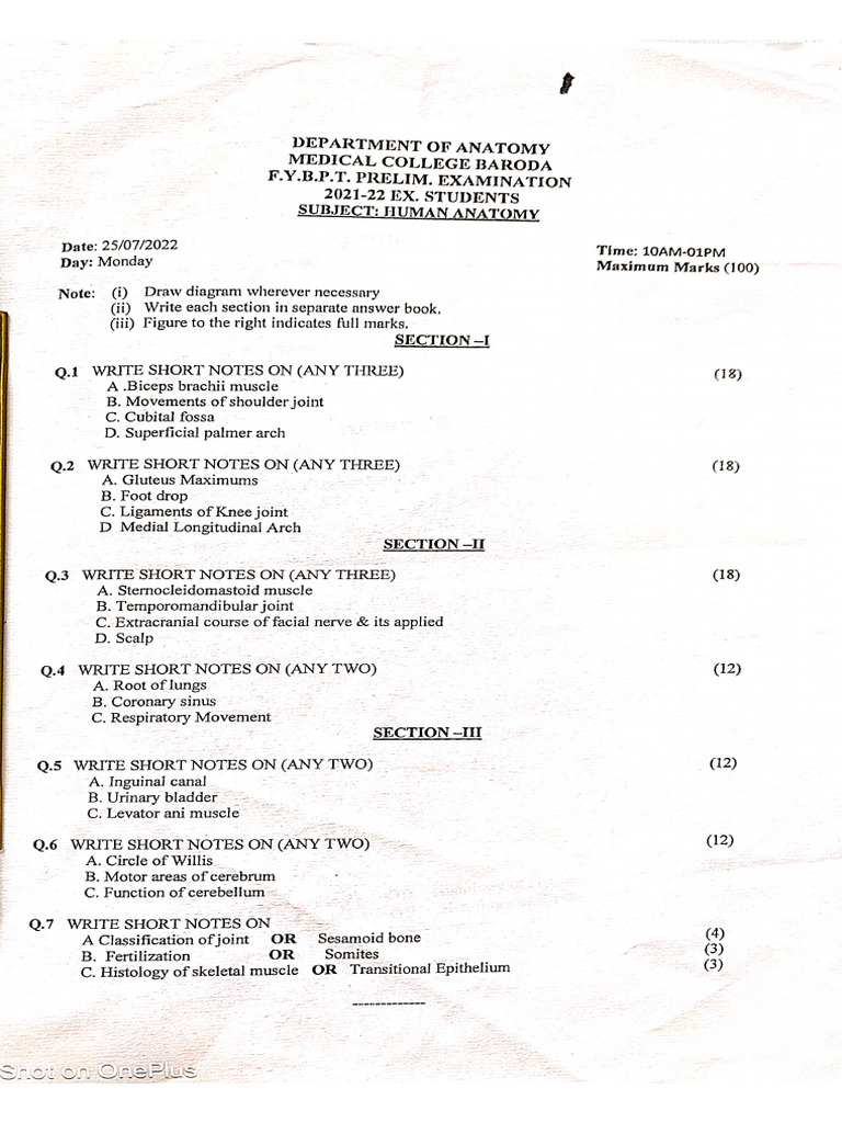 ?anatomy Previous Years Papers | PDF