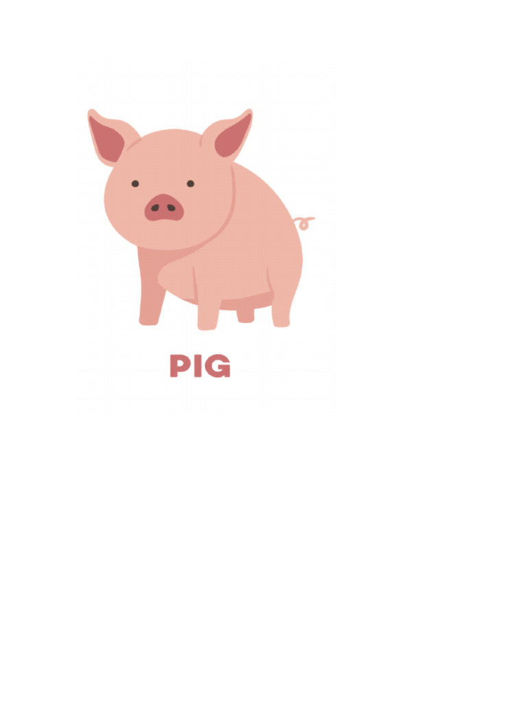 Farm Animals Flashcards Pig | PDF