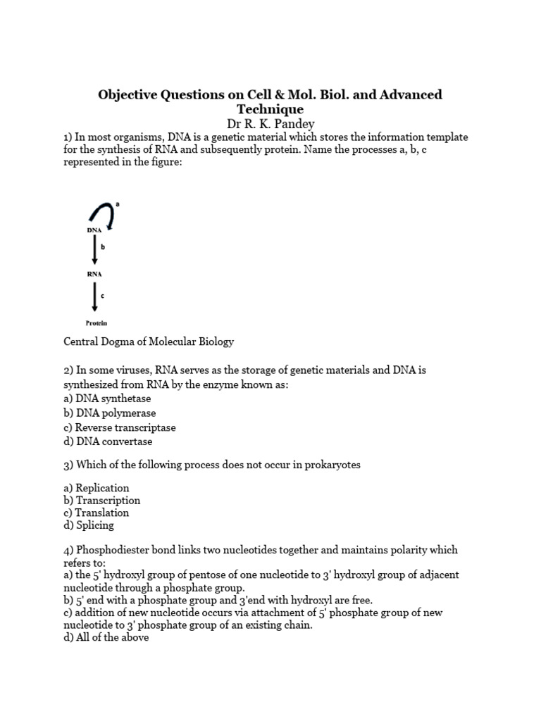 Molecular Basis of Inheritance MCQ | PDF | Dna Replication | Dna