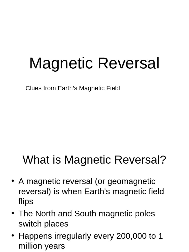 Understanding Magnetic Reversal | PDF