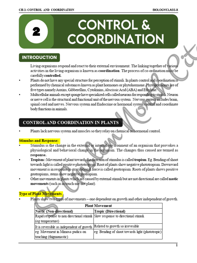 Biology - Control & Coordination Class 10 - 250725 - 203456 | PDF ...