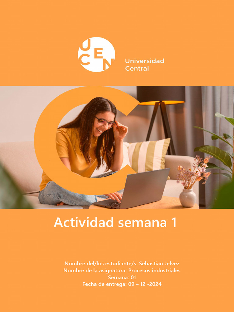 Actividad Sumativa Semana 01 - Sebastian Jelvez | PDF