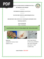 Technique de Baermann | PDF | Infection | Nematoda