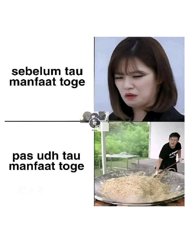 Lucu | PDF