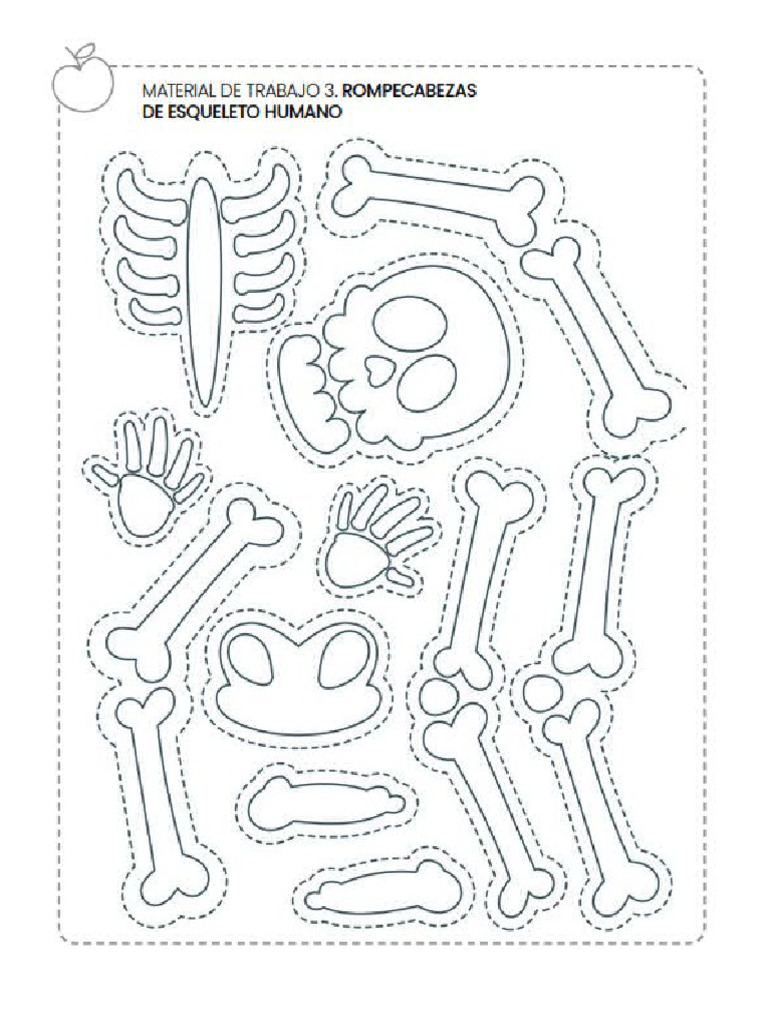 Proyecto Los Huesos Paf | PDF