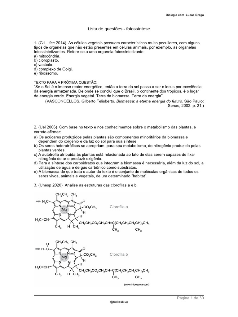 Estruturas das Clorofilas e Fotossíntese | PDF | Fotossíntese | Clorofila