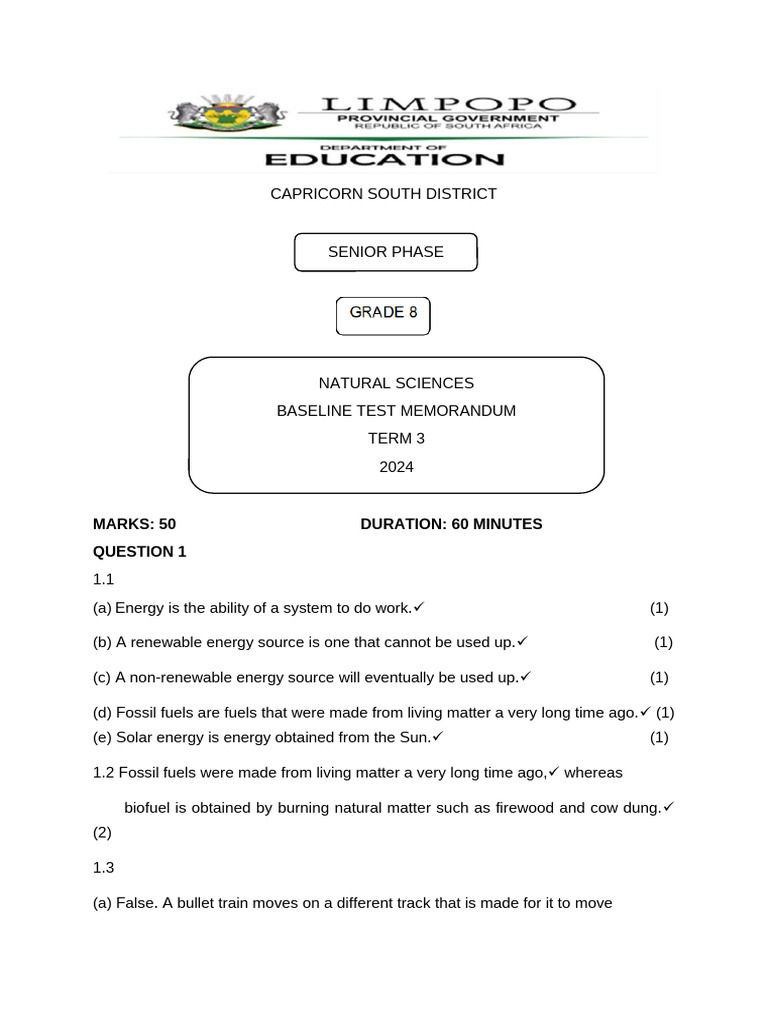 Grade 8 Natural Science Term 3 Test | PDF | Energy Development | Fuels