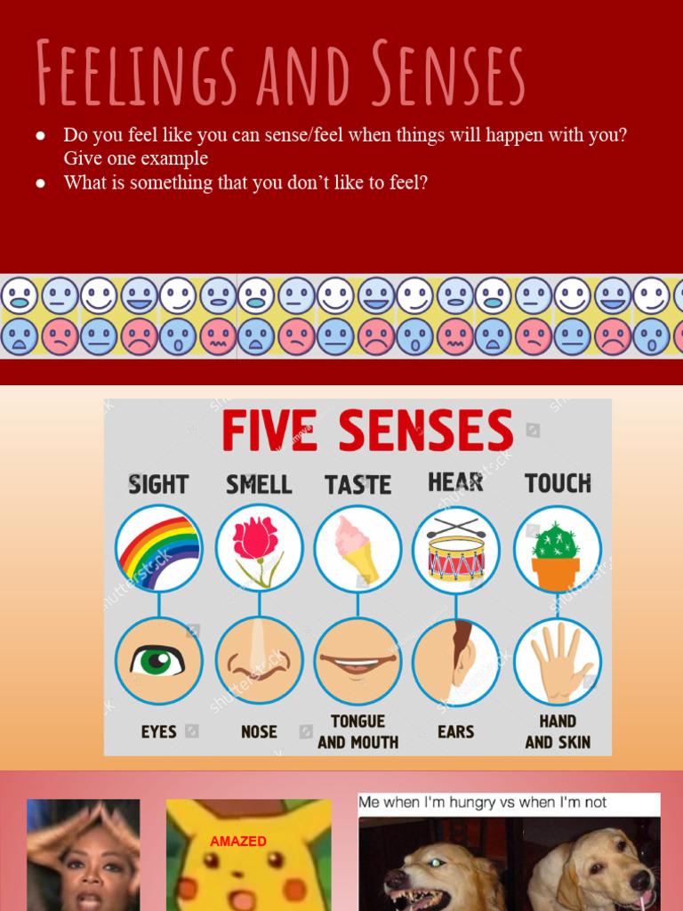 3 - Feelings and Senses | PDF