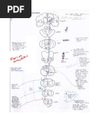 Fisher Transition Curve 2012bb | PDF | Mental Health | Emergence