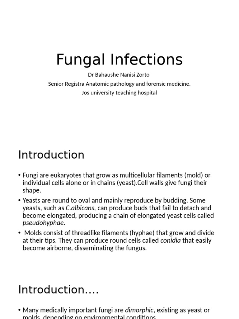 Fungal Infections in AIDS Patients | PDF | Candidiasis | Macrophage