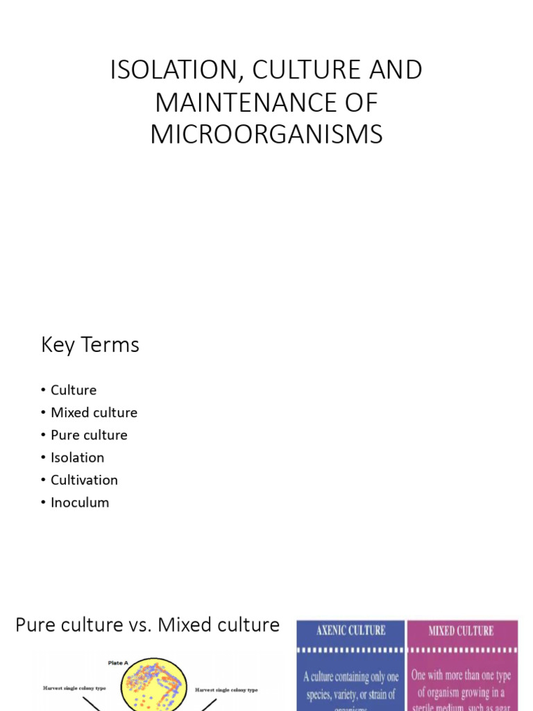 Isolation, Culture and Maintenance of Microorganisms | PDF