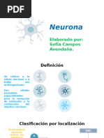 Estructura y Función de la Neurona | PDF | Neurona | Axon