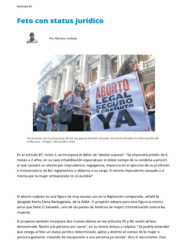 Feto Con Status Jurídico - Artículo 87. Página 12. Mariana Carabajal | PDF