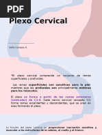 Anatomía del Plexo Cervical: Guía Completa | PDF | Nervio | Neuroanatomía
