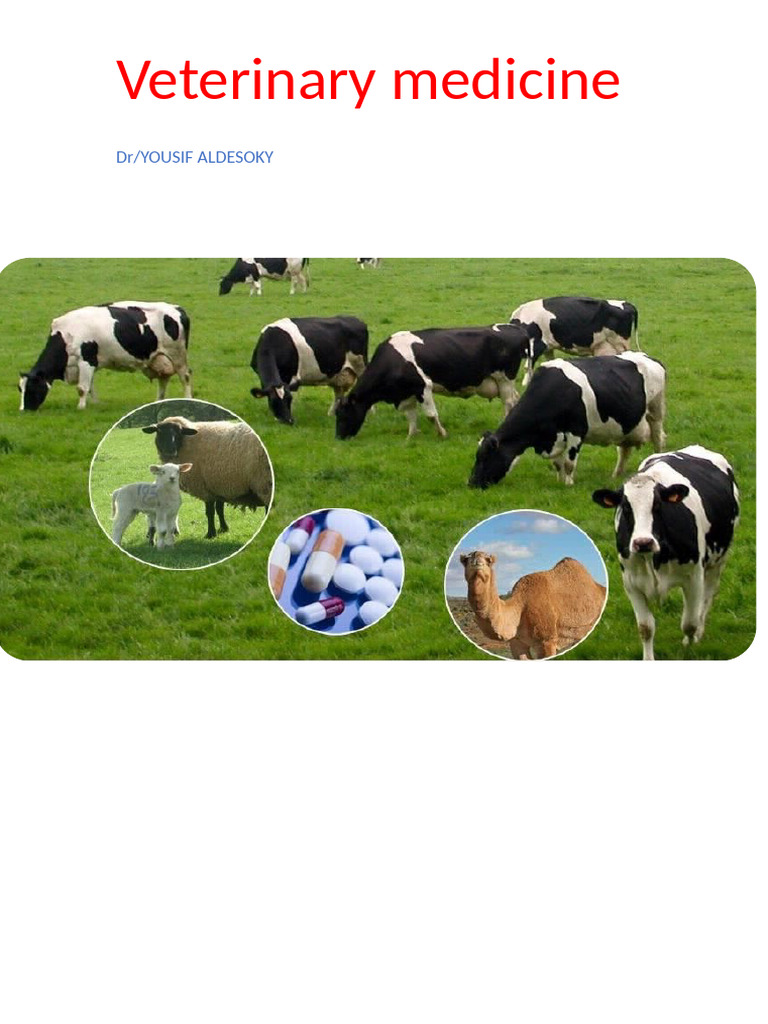 ملف اختبارات مزاولة المهنه معدل.docx · Version 1 | PDF | Avian Influenza | Influenza