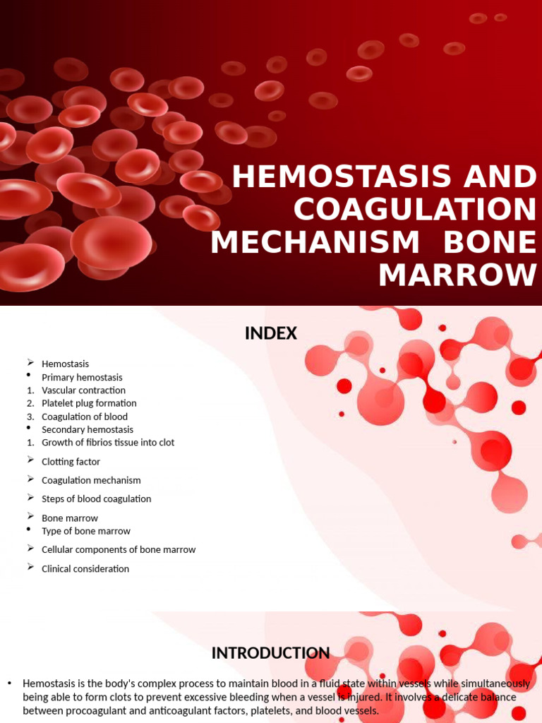Hemostasis and Coagulation Mechanism, Bone Marrow | PDF | Coagulation | Bone Marrow