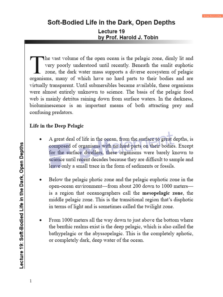 Lecture 19 Soft Bodied Life in the Dark Open Depths | PDF | Marine Biology | Aquatic Ecology
