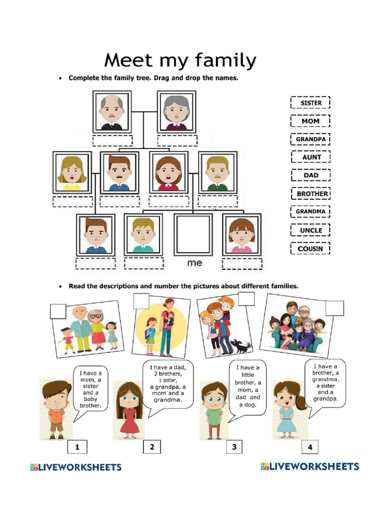 Family Members | PDF