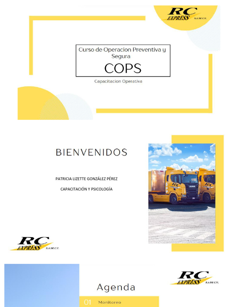 Monitoreo Logístico y Seguridad Vial | PDF | Logística