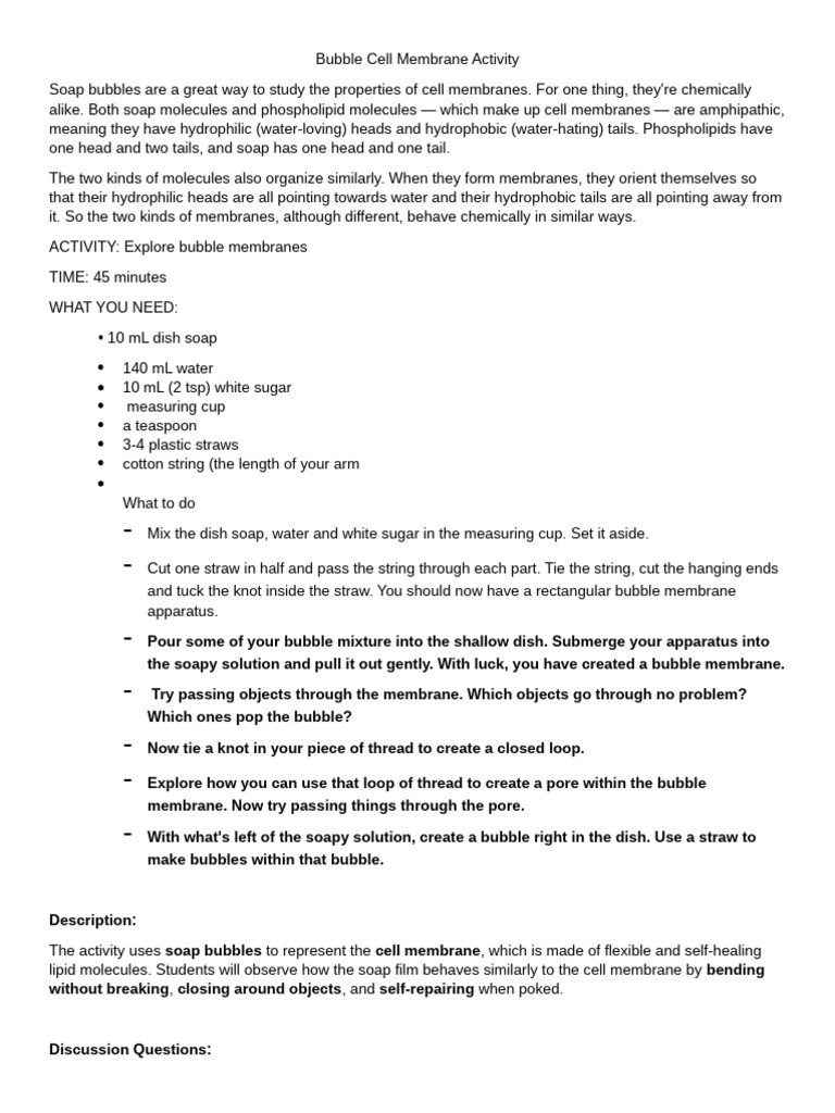 Bubble Cell Membrane Activity Guide | PDF | Cell Membrane | Biological ...