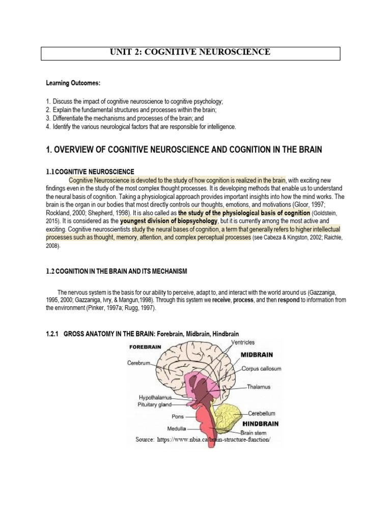 Cognitive Neuroscience Overview | PDF | Action Potential | Neuron