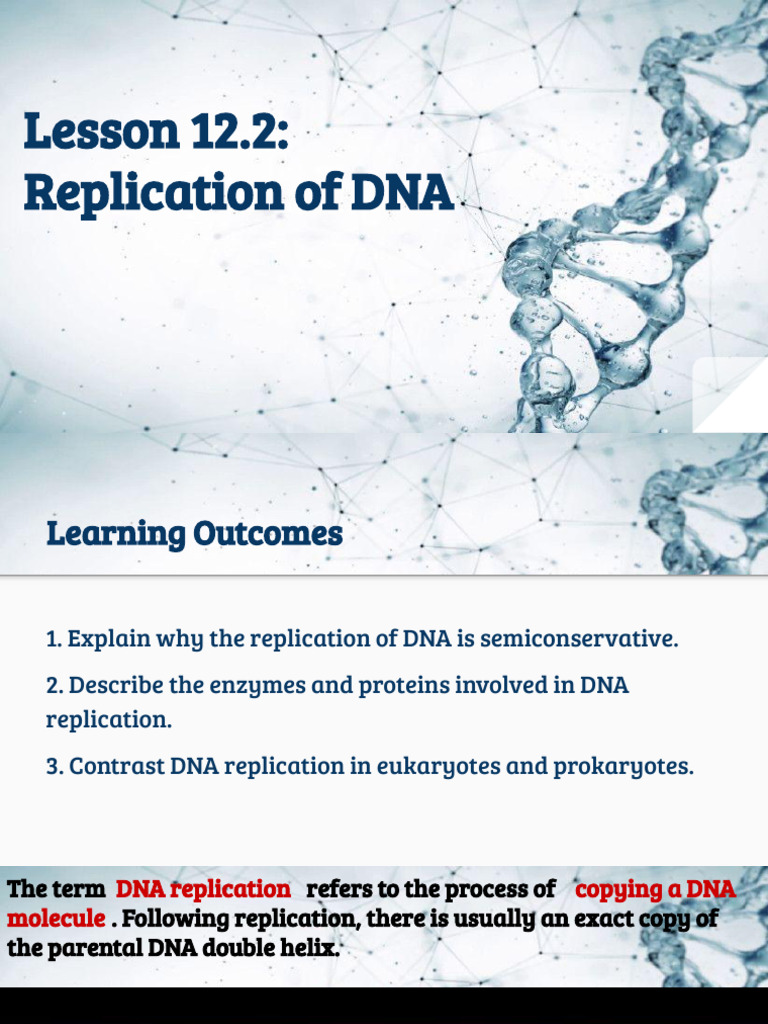 Lesson 12.2 - Replication of DNA | PDF | Dna Replication | Dna