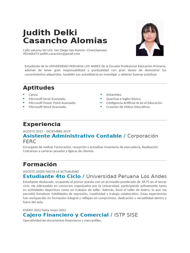 Perfil Profesional de Judith Delki Casancho | PDF | Inteligencia ...