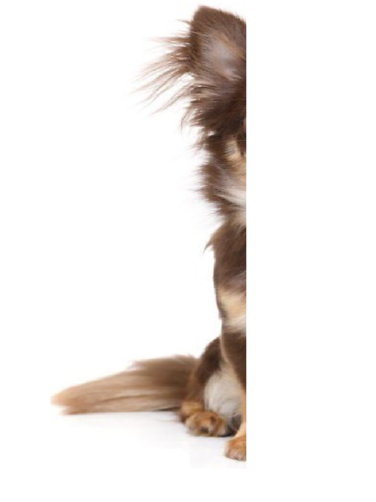 Zoey Standy | PDF