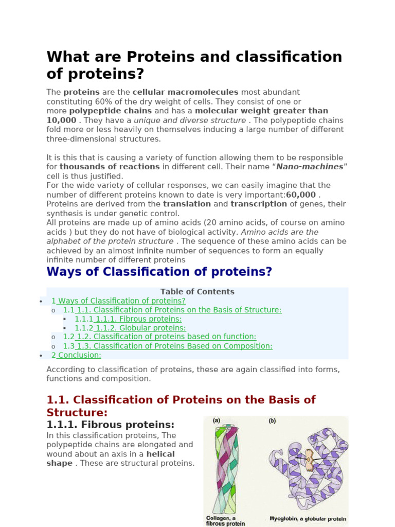 Classification of Proteins by Function | PDF | Proteins | Cell Signaling