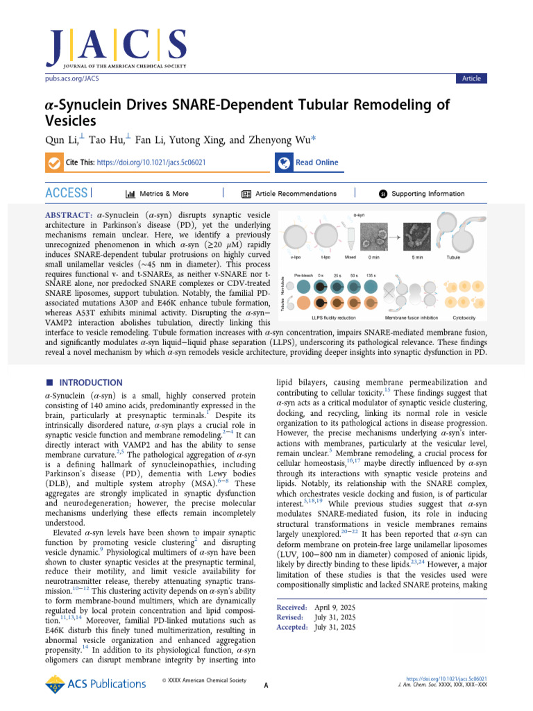 Li Et Al 2025 α Synuclein Drives Snare Dependent Tubular Remodeling of ...