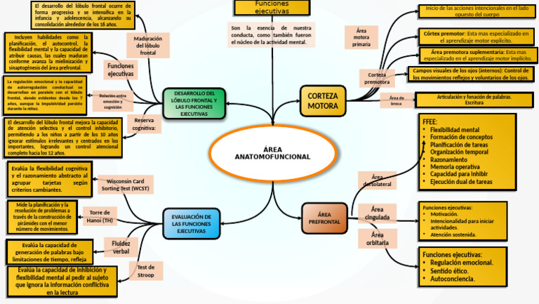 Mapa Conp | PDF | Lóbulo frontal | Cognición
