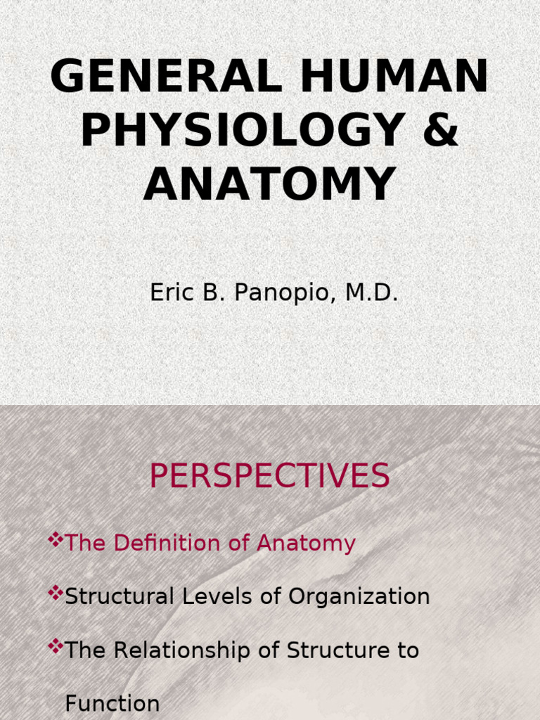 1A - Introduction To Anatomy and Physiology | PDF | Anatomical Terms Of ...