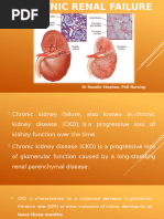 Understanding Chronic Kidney Disease | PDF