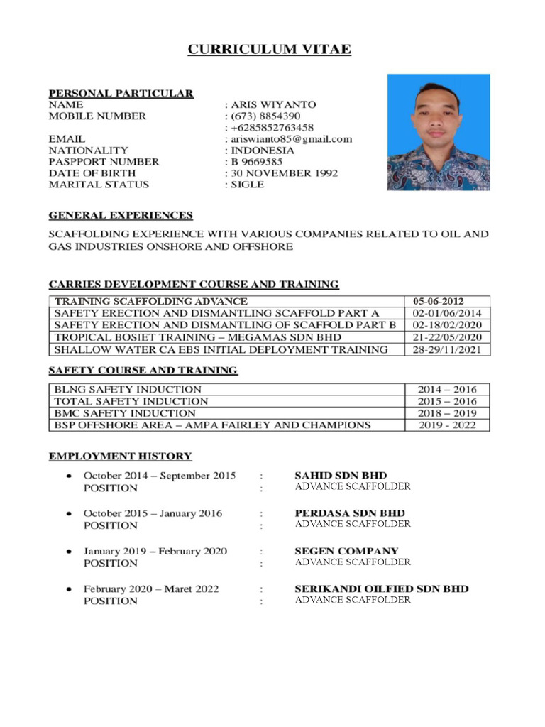 CV Dedeng | PDF