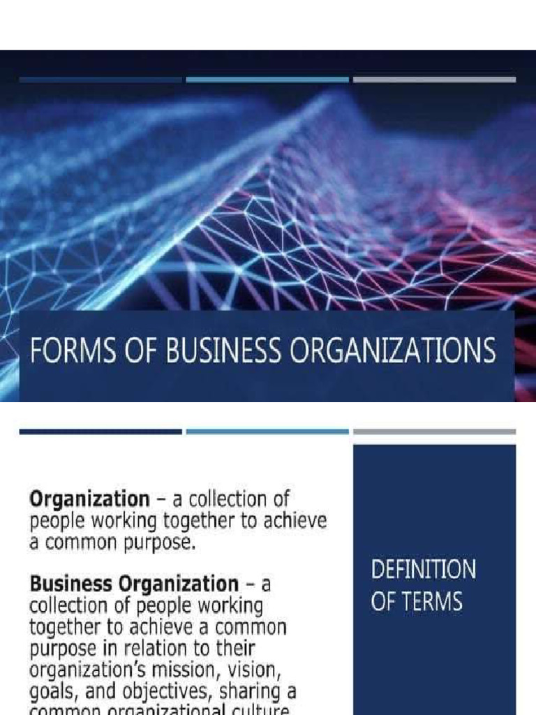 Forms of Business Organization | PDF