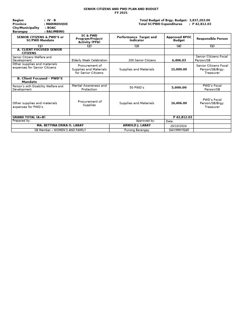 Senior Citizens and PWD Budget 2025 | PDF | Social Policy