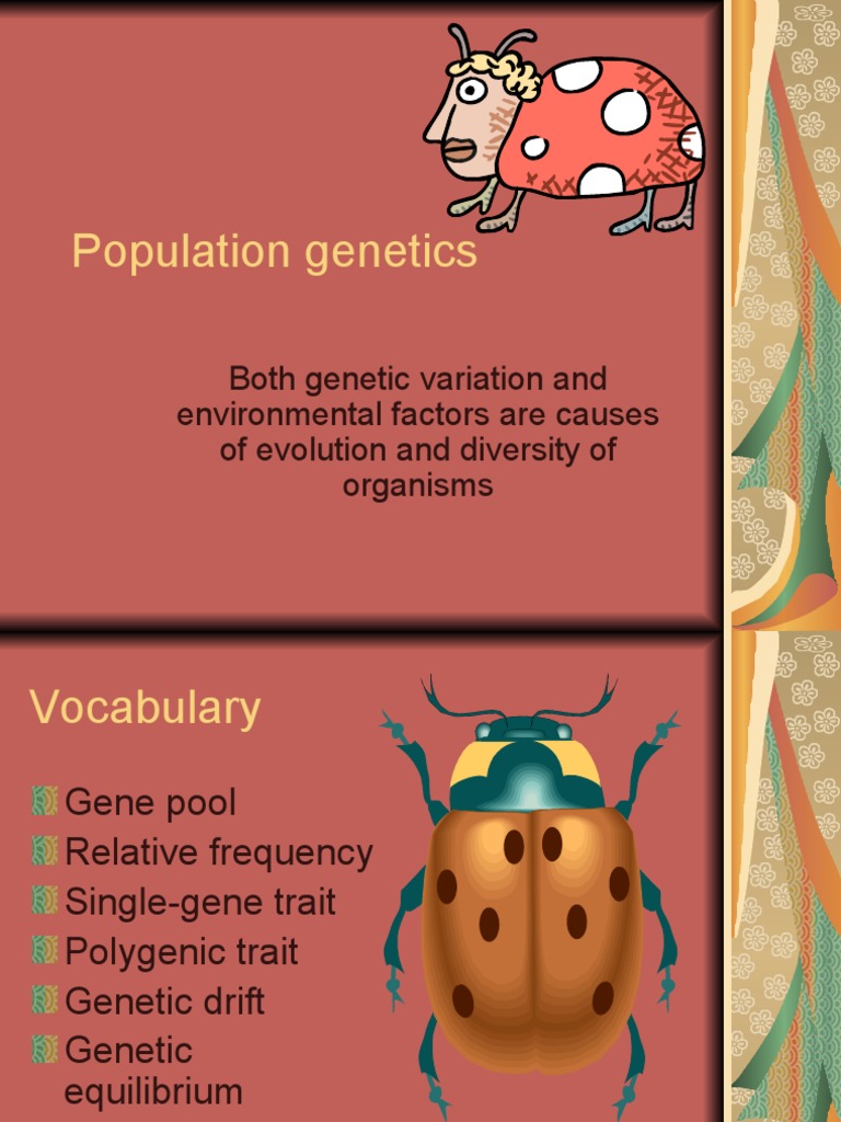 Genetic Diversity | PDF | Natural Selection | Evolution