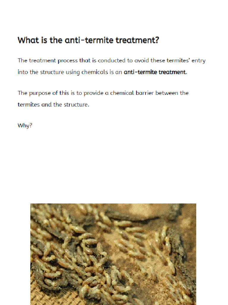 Anti Termite Treatment | PDF