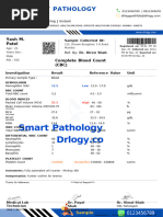 CBC Report Sample for Blood Analysis | PDF | White Blood Cell | Body Fluids