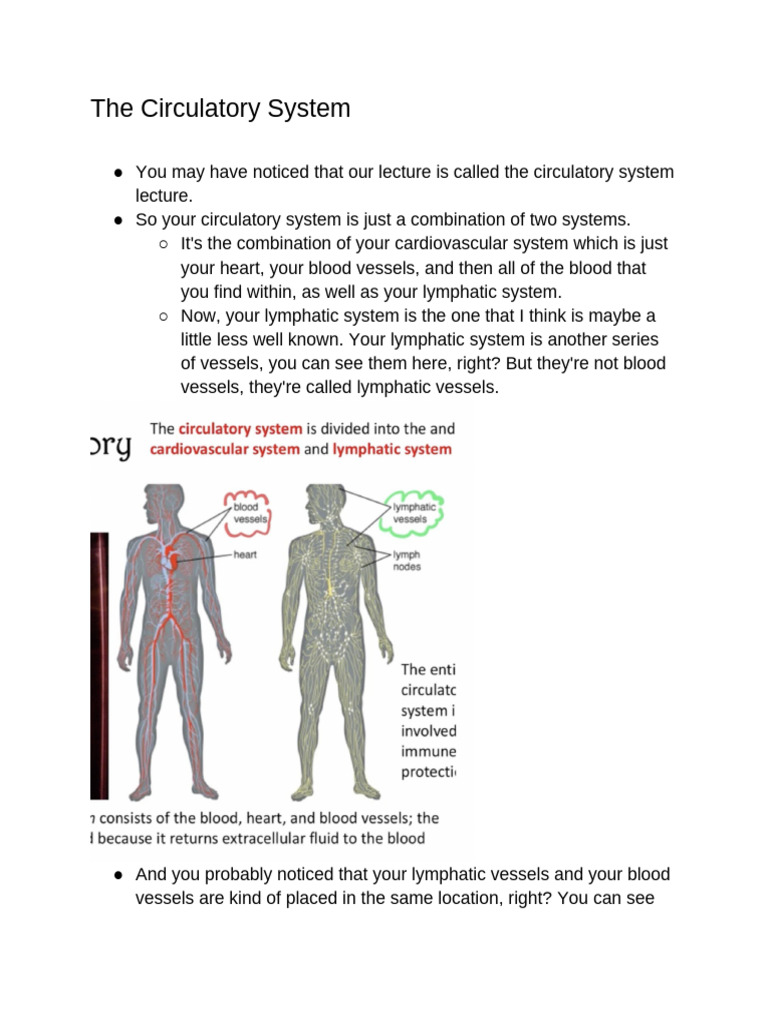 Understanding the Circulatory System | PDF | Heart Valve | Atrium (Heart)