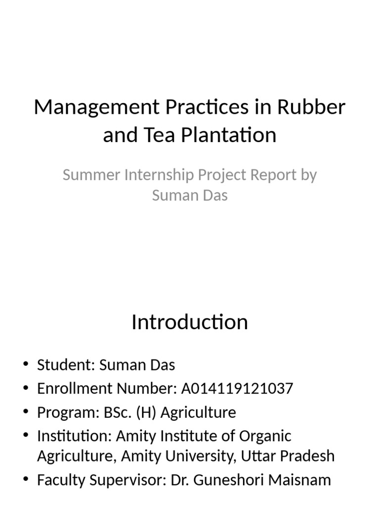Management Practices in Rubber and Tea Plantation | PDF | Fertilizer ...