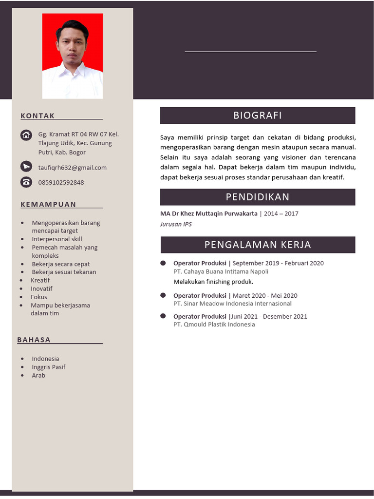 CV Taufik RH | PDF
