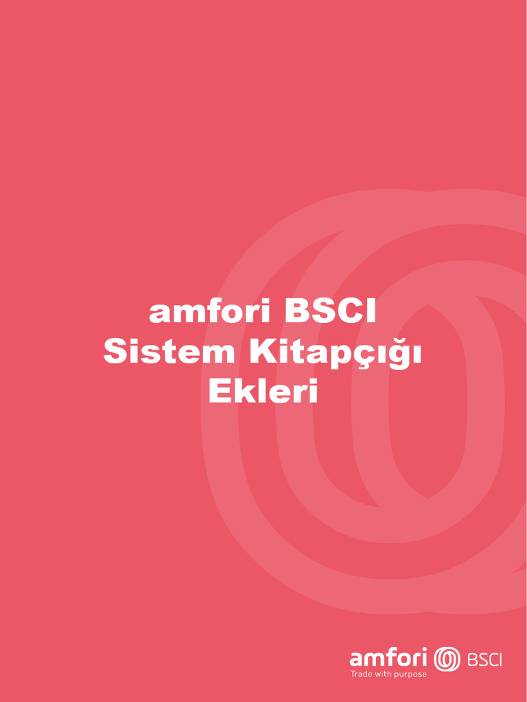 Amfori Bsci System Manual Guides Turkish 2023 | PDF