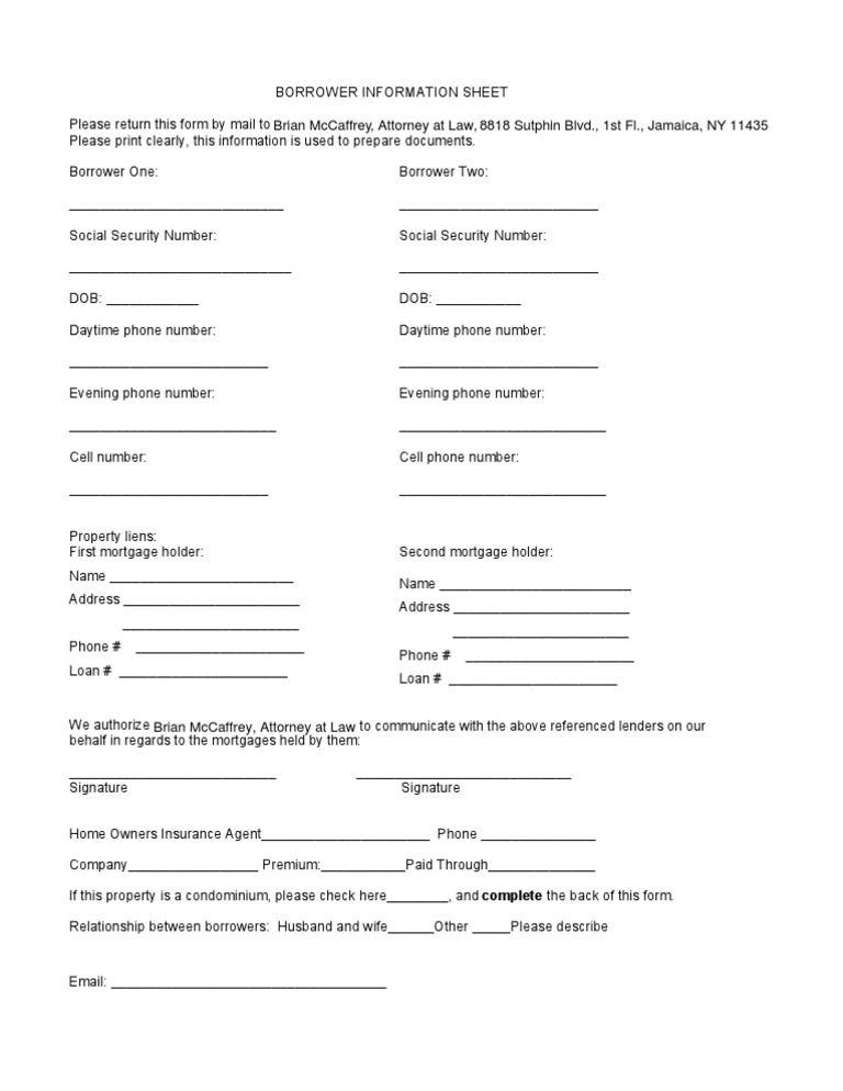 Borrowers Information Sheet | PDF | Finance & Money Management | Politics