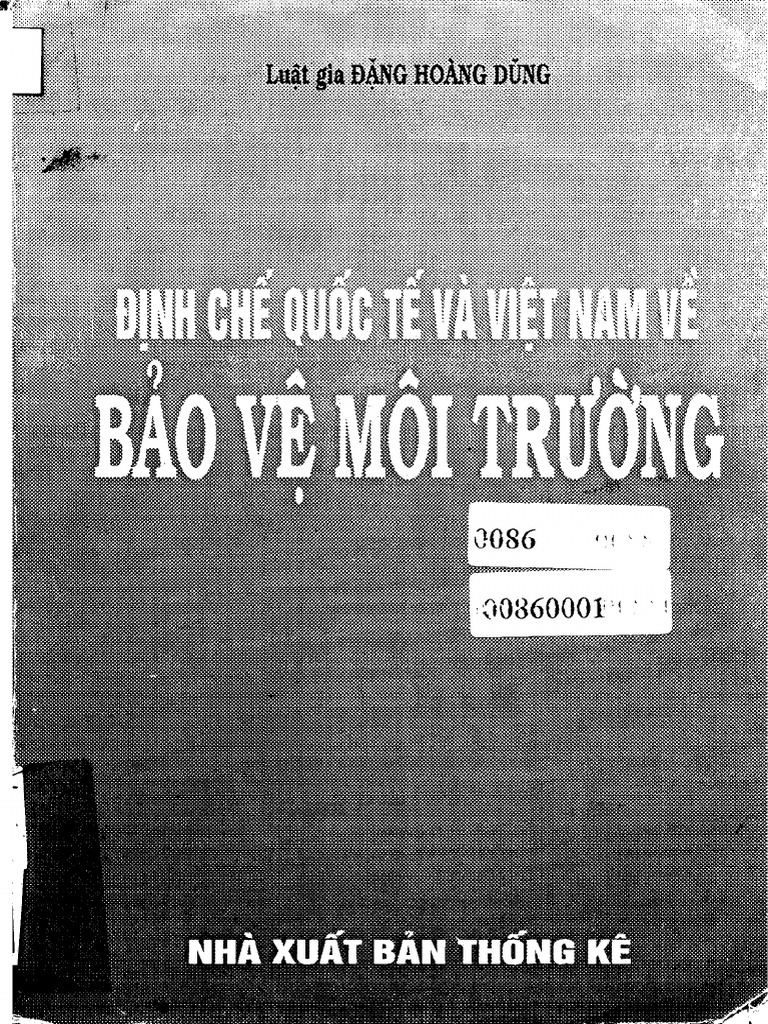 Dinh Che Quoc Te Va Viet Nam | PDF