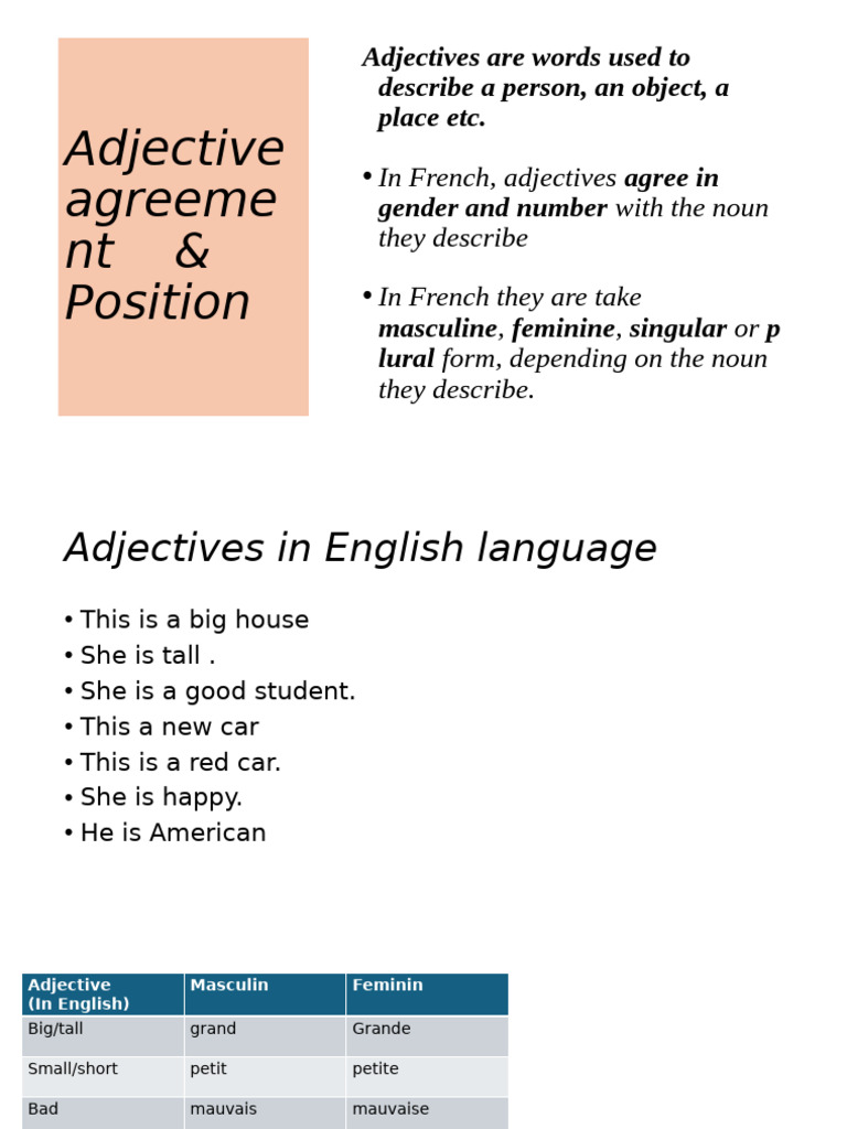 Adjectives Apprenons Le Francais | PDF | Grammatical Gender | Adjective